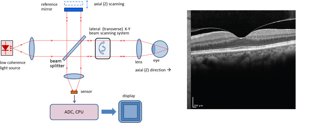 Steering Mirrors in OCT | OFH - 金宝搏官网